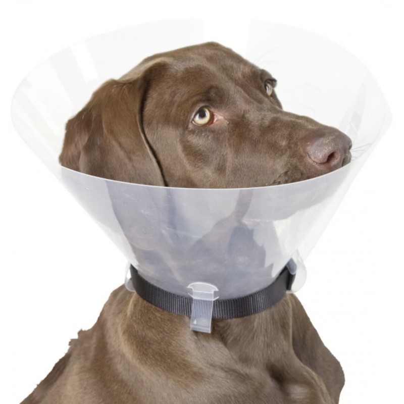 Collare Elisabetta Per Cani, Indispensabile Per Diverse Patologie o Cure.